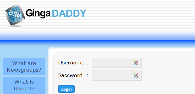 GingaDaddy Review - Newsgroup Reviews